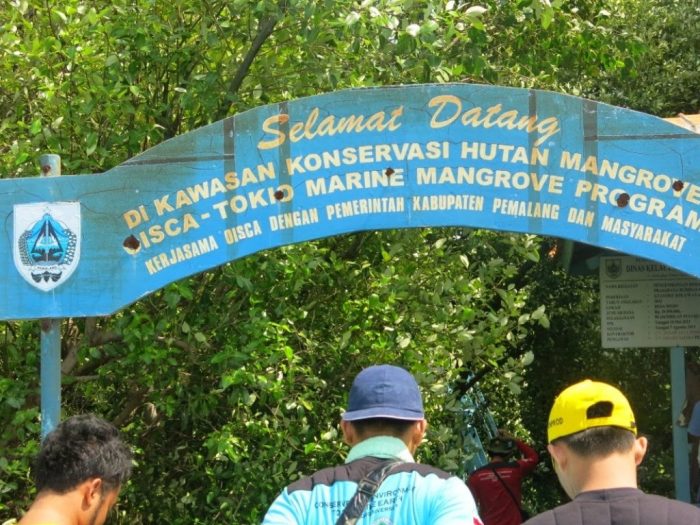 Penampakan Kerusakan Mangrove-Tracking di Desa Mojo – MANGROVEMAGZ.COM