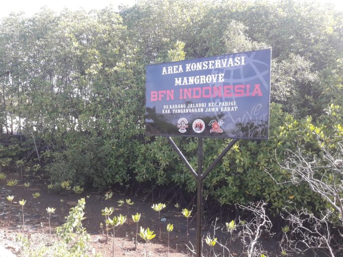 Konservasi Hutan Mangrove di Bojong Salawe, Kabupaten Pangandaran ...